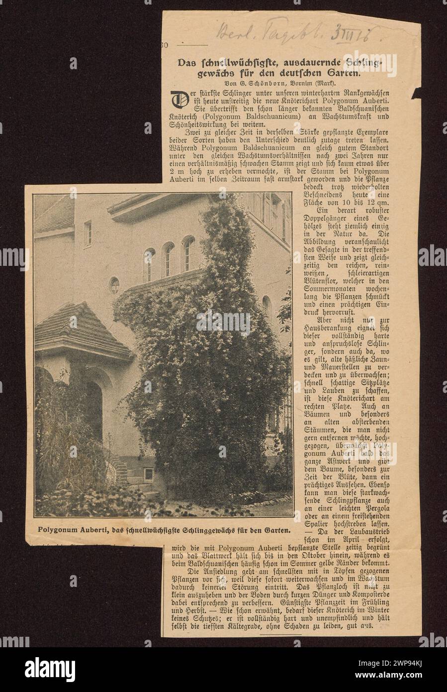 A 1916 newspaper clipping from 'Berliner Tageblatt' showing Ferdynand ...