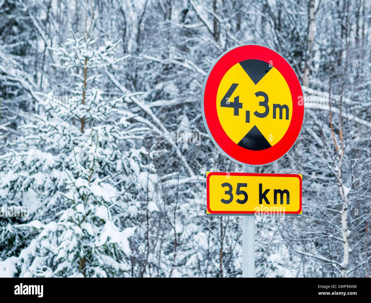 A street sign mounted on a metal pole stands tall amidst a blanket of ...