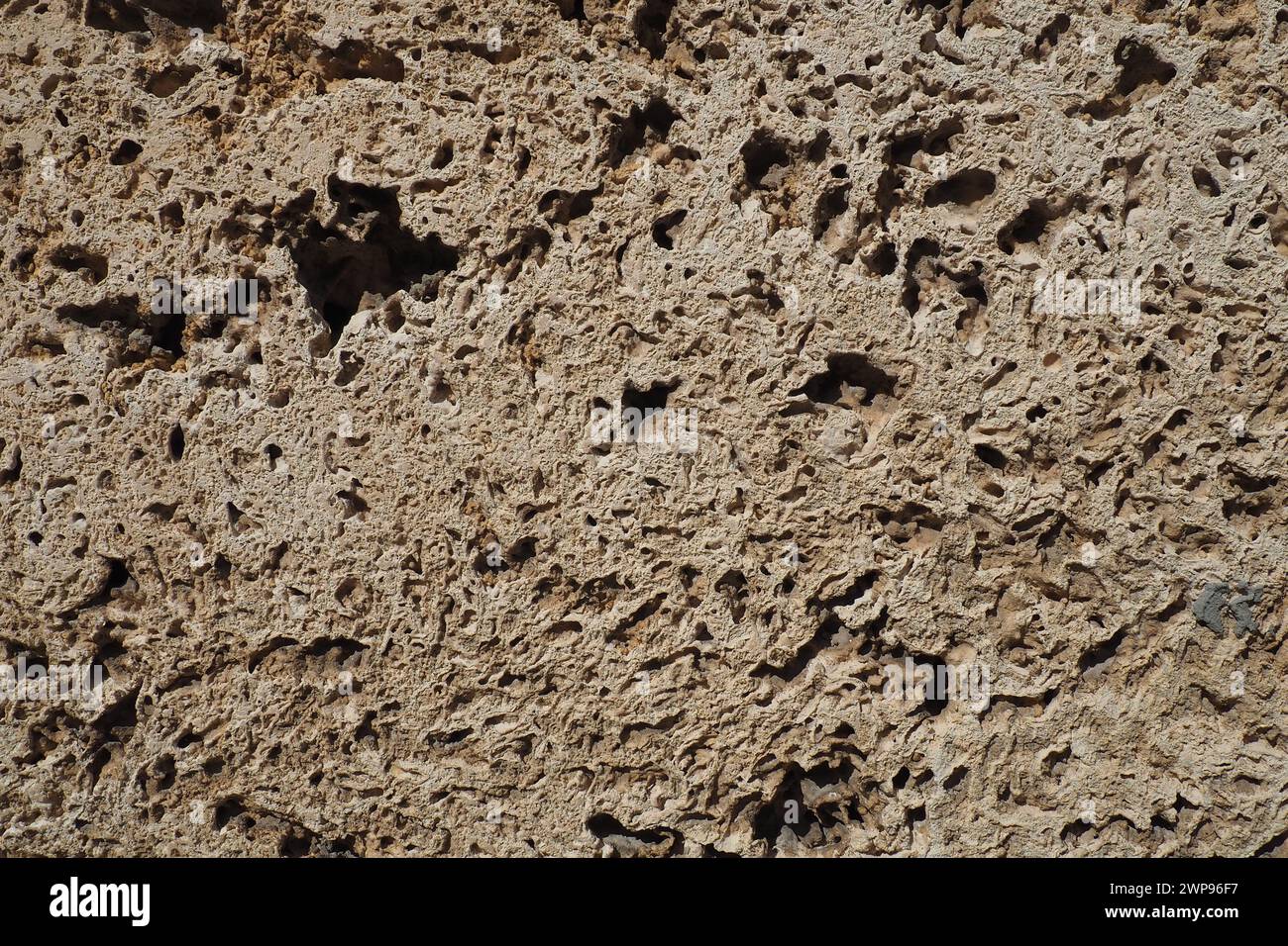 Textured wall lined with beige shell rock tiles. Close-up of a wall ...