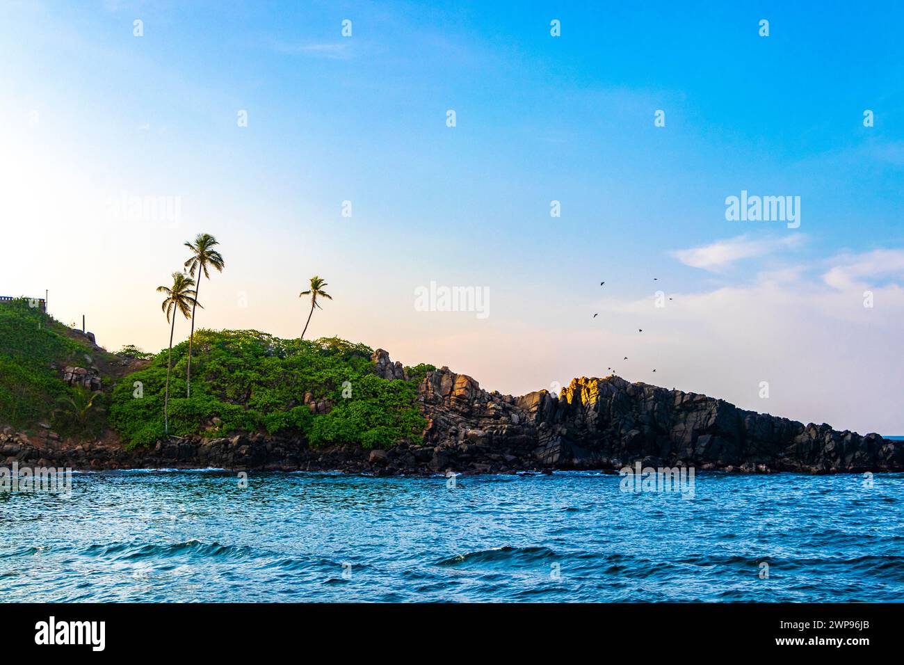 Seascape landscape and tropical nature panorama view on blue whale boat ...