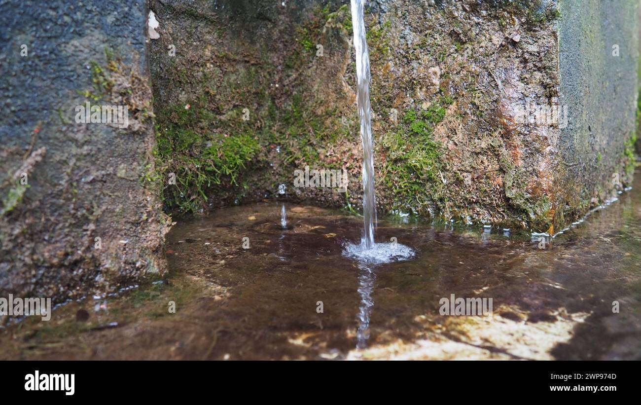 Banja Koviljaca, Serbia, Guchevo, Loznica. Spring Three sources ...