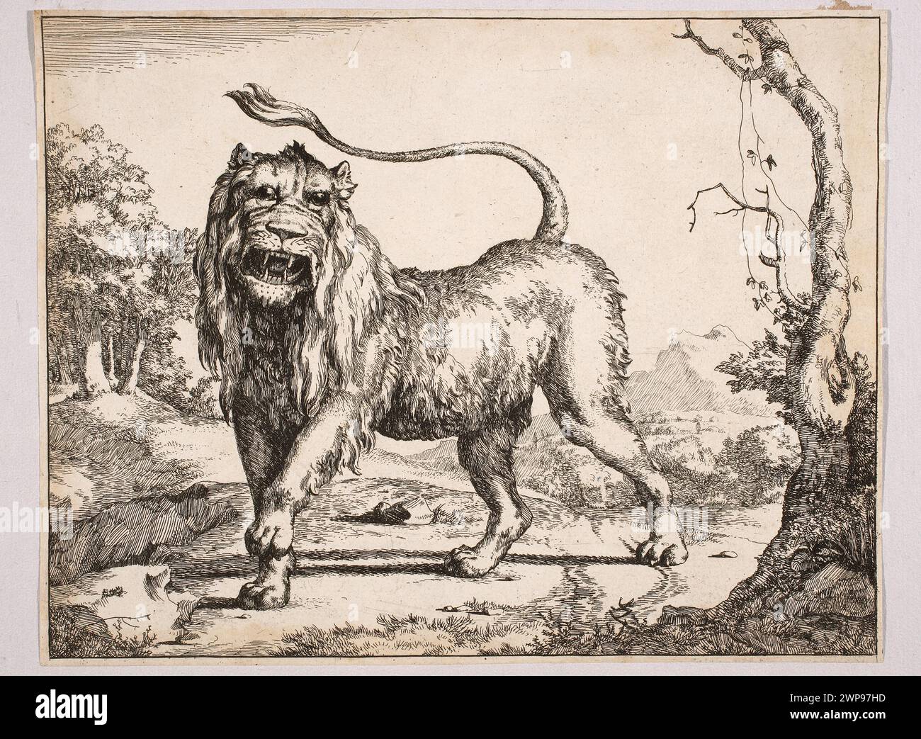 'Roaring Lion,' painting by Marcus de Bye and Paulus Potter, 1664 ...