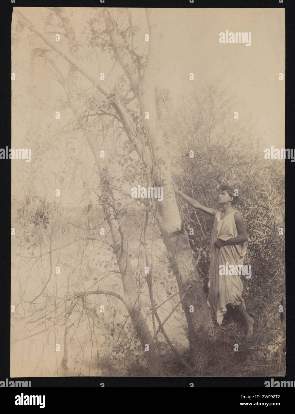 Photograph by Guglielmo Plüschow around 1896 showing young men standing ...