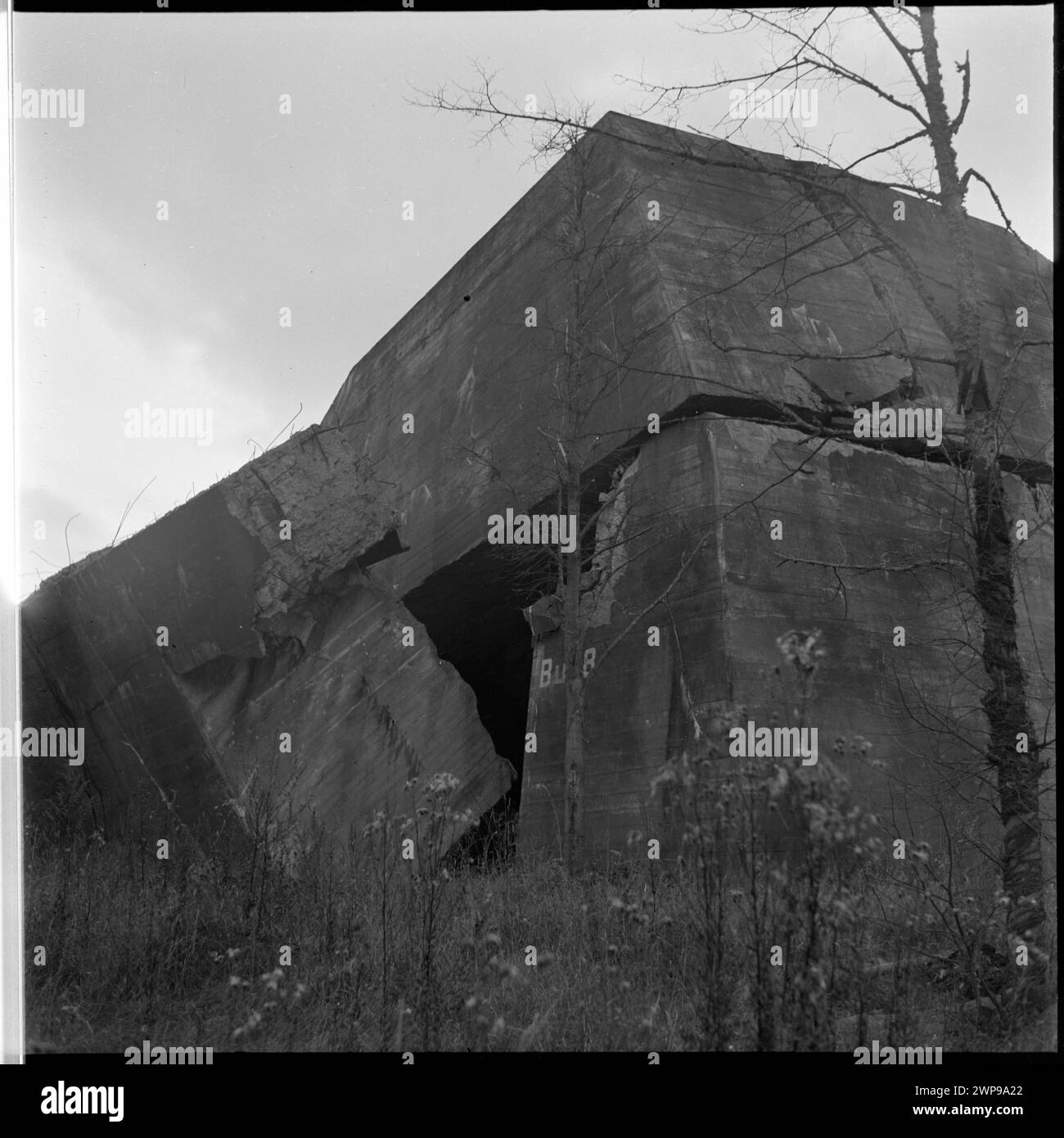 Image showing the remaining bunker structures at Wilcze Szańc, Adolf ...