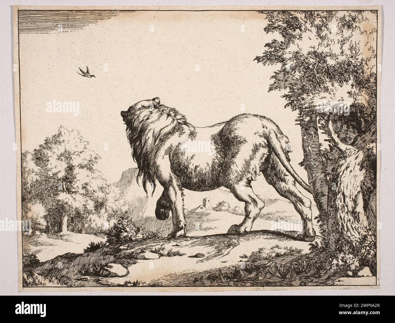 Painting depicting a lion observing a bird, by Marcus de Bye and Paulus ...