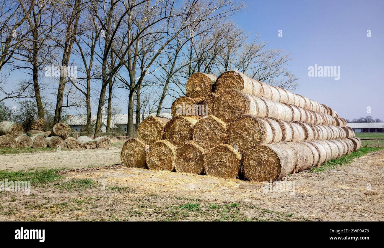 Dozens of hay bales stored on each other, farming Stock Photo - Alamy
