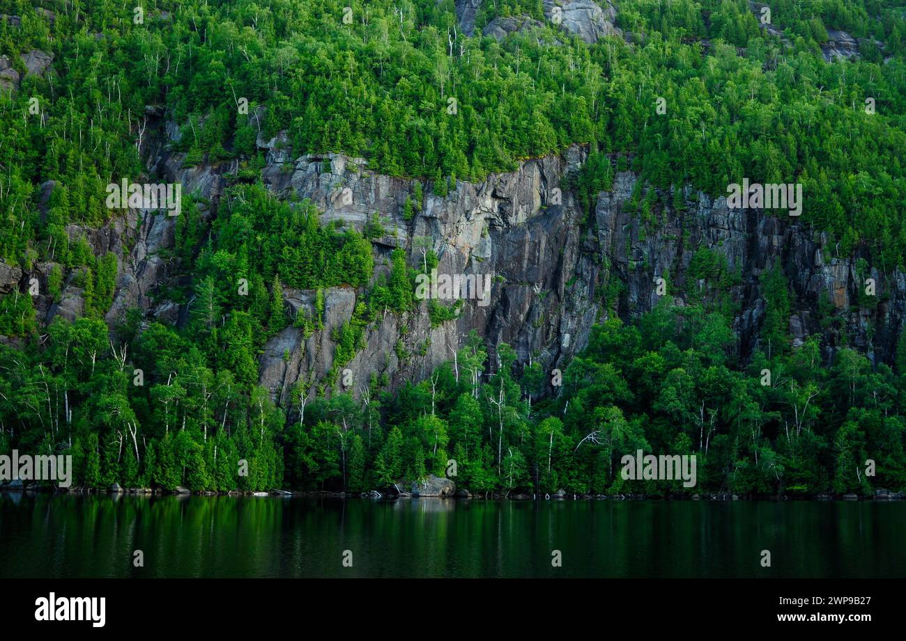 Trees in spring on the cliffs above Chapel Pond in the High Peaks ...