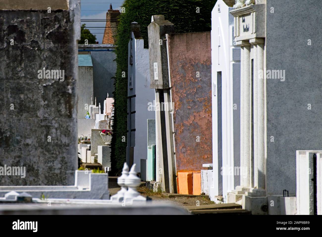 The cemetery has been ranked by CNN as one of the most beautiful ...