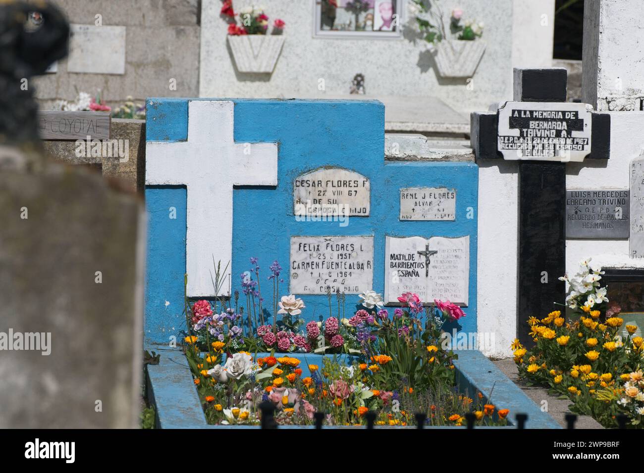 The cemetery has been ranked by CNN as one of the most beautiful ...