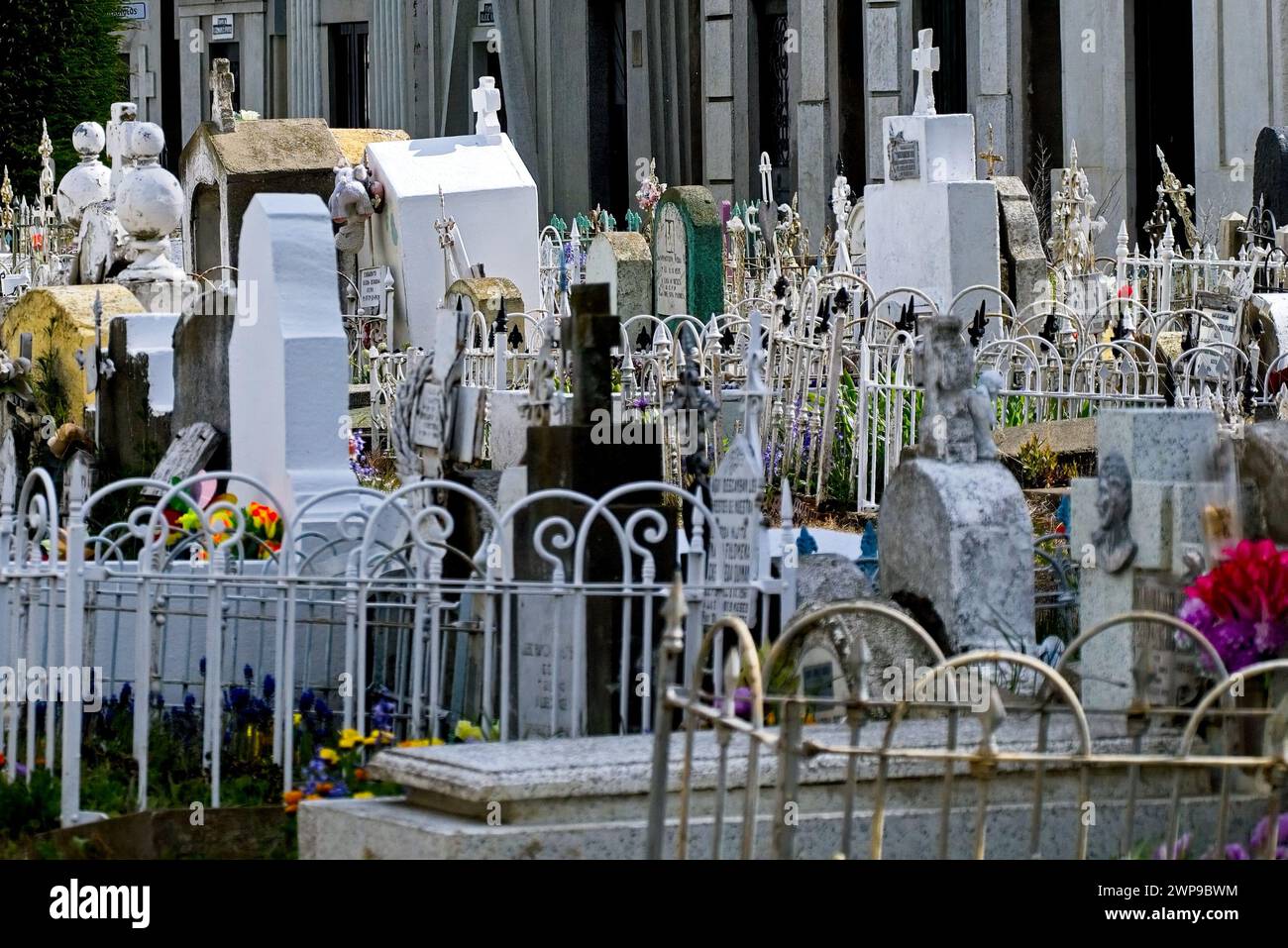 The cemetery has been ranked by CNN as one of the most beautiful ...