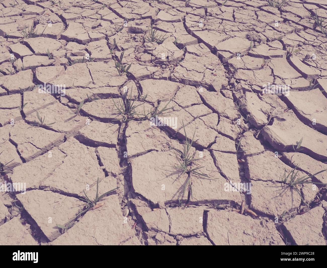 Deep cracks in the land as a symbol of hot climate and drought. Desert ...