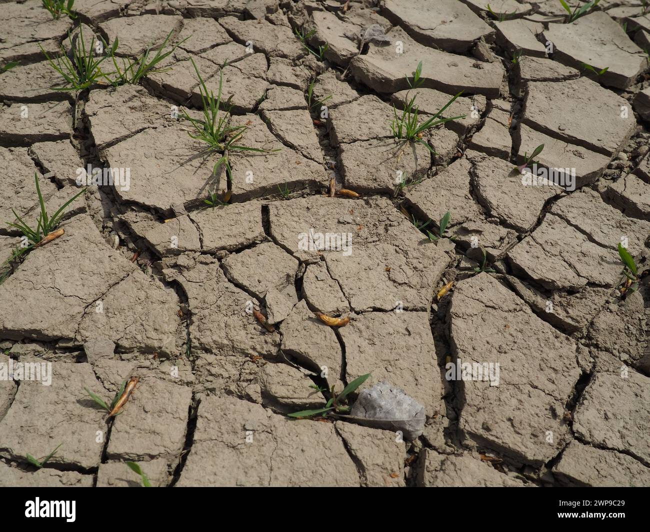 Deep cracks in the land as a symbol of hot climate and drought. Desert ...