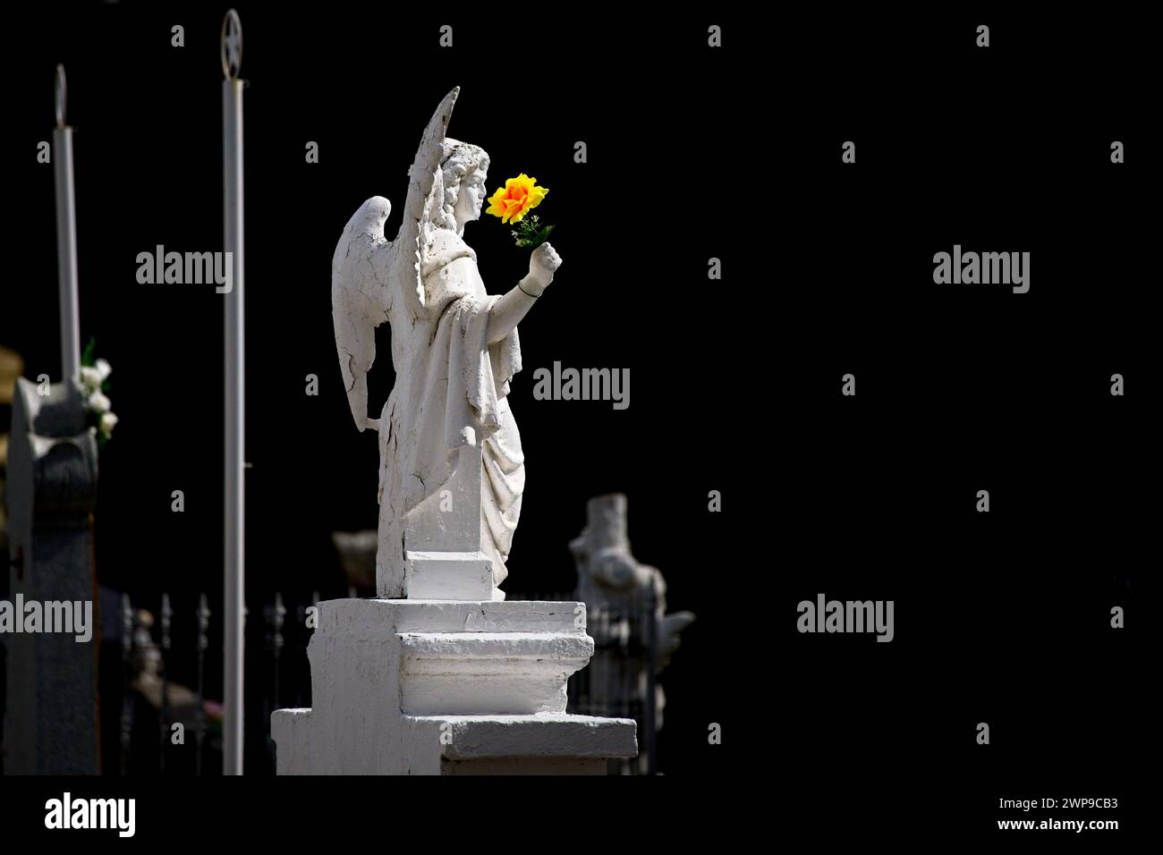 The cemetery has been ranked by CNN as one of the most beautiful ...