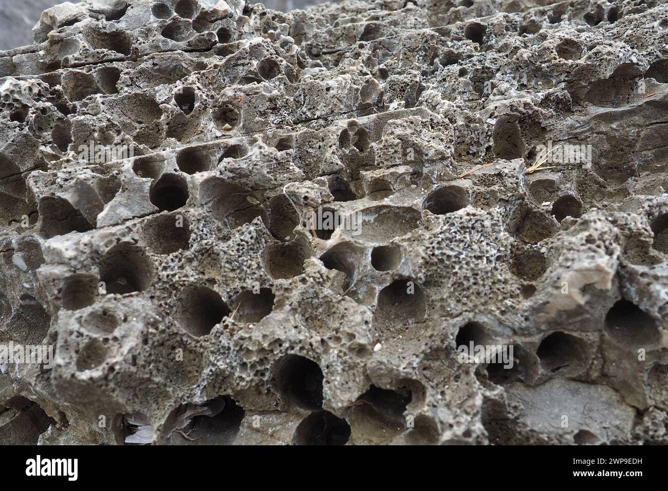 Volcanic stones. Spongy cellular loose airy porous stone material ...
