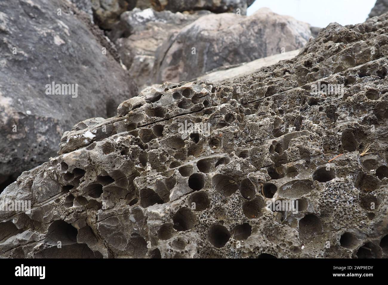 Porous lava rock hi-res stock photography and images - Alamy