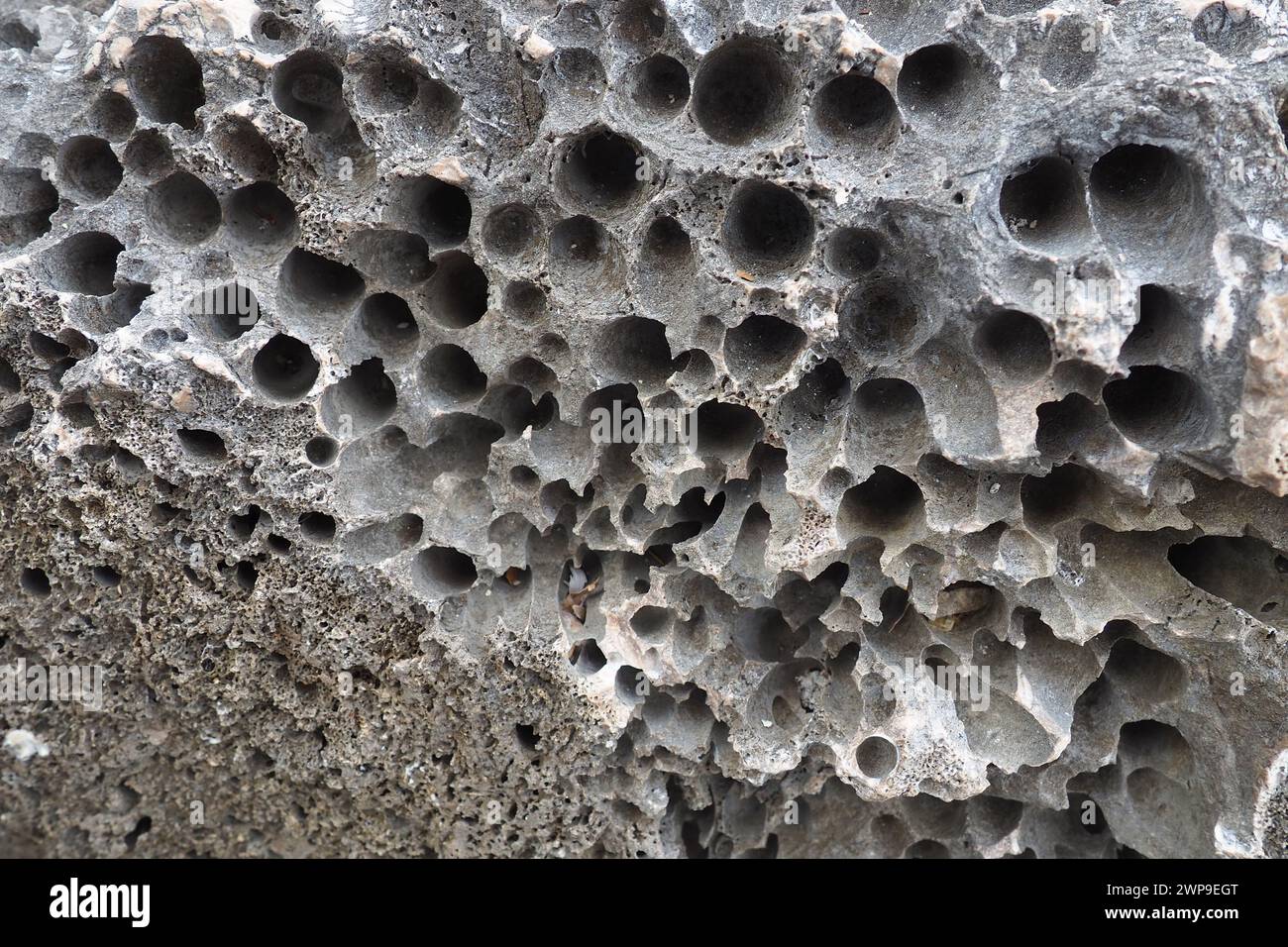 Volcanic stones. Spongy cellular loose airy porous stone material ...