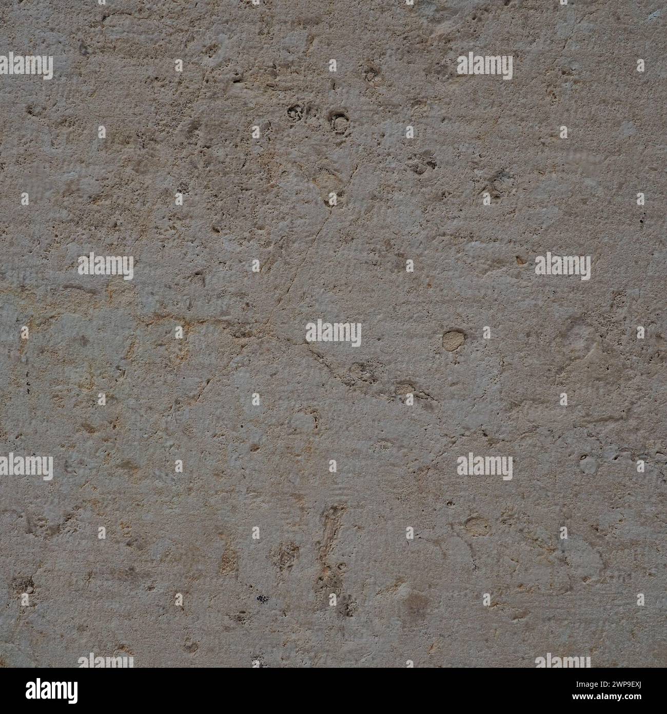 Shell rock is a sedimentary rock. One of the varieties of limestone ...