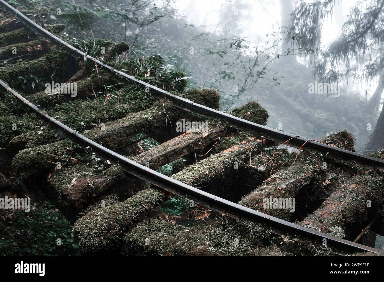 Mist covered tracks hi-res stock photography and images - Alamy