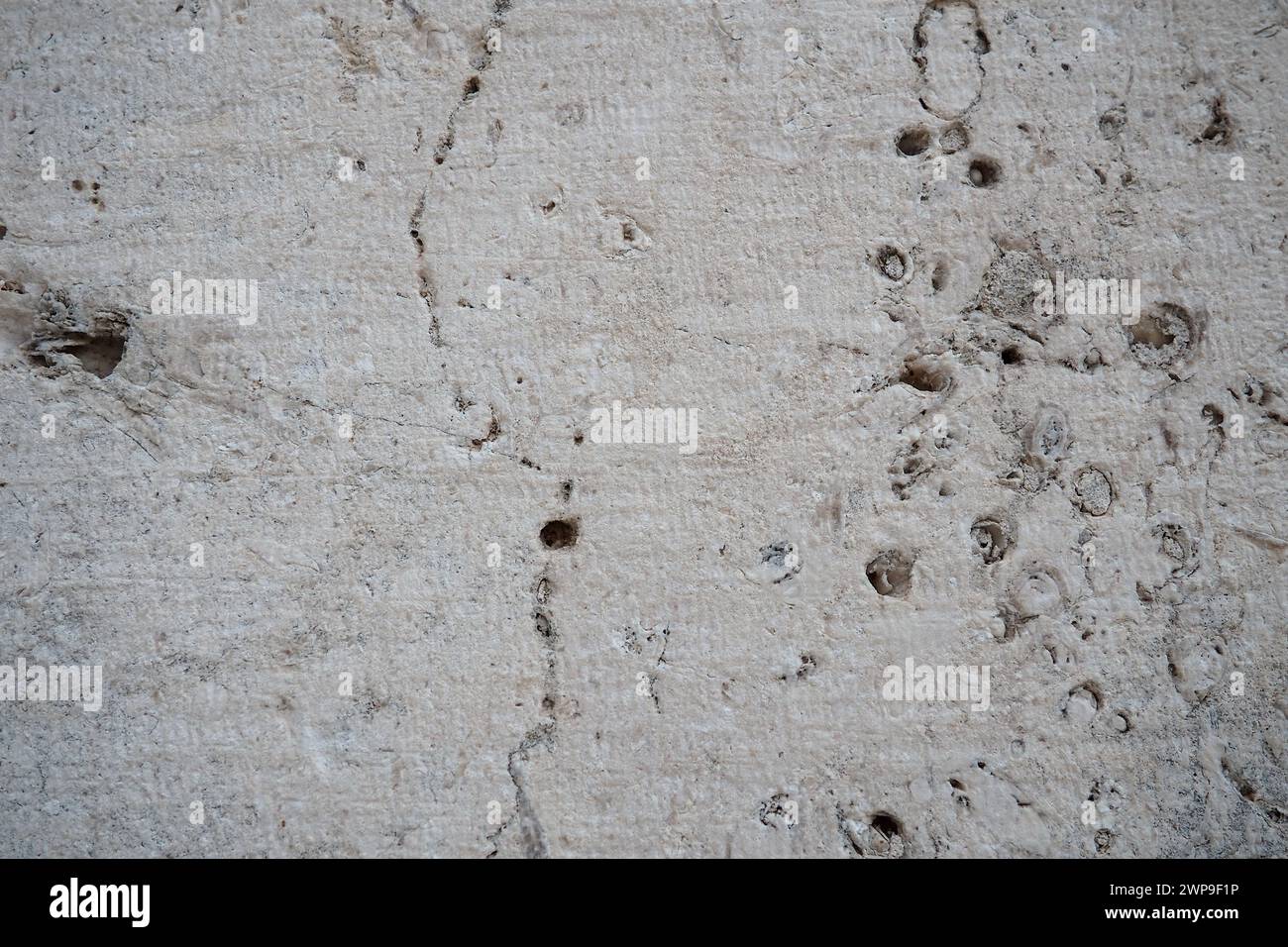 Shell rock is a sedimentary rock. One of the varieties of limestone ...