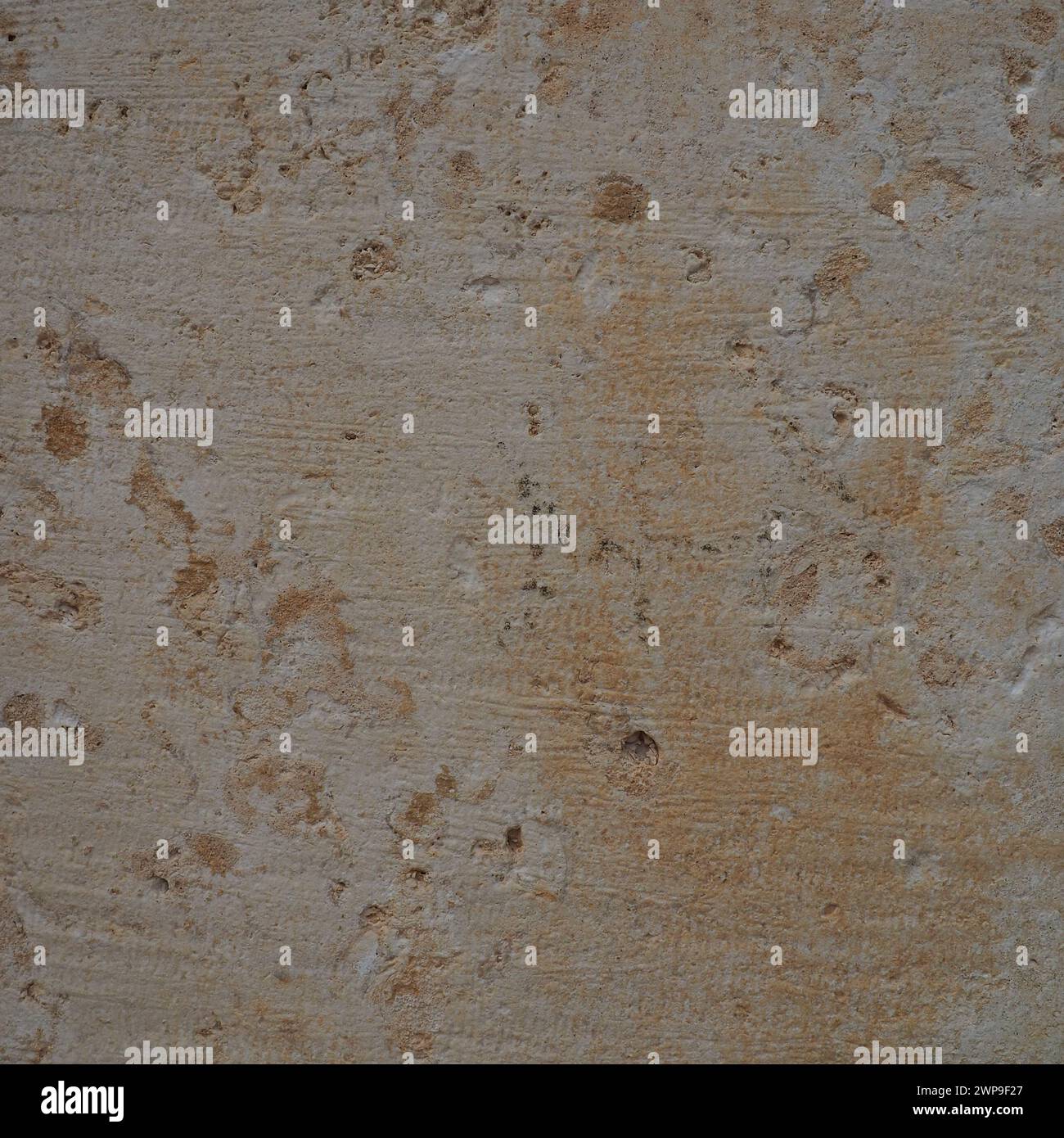 Shell rock is a sedimentary rock. One of the varieties of limestone ...