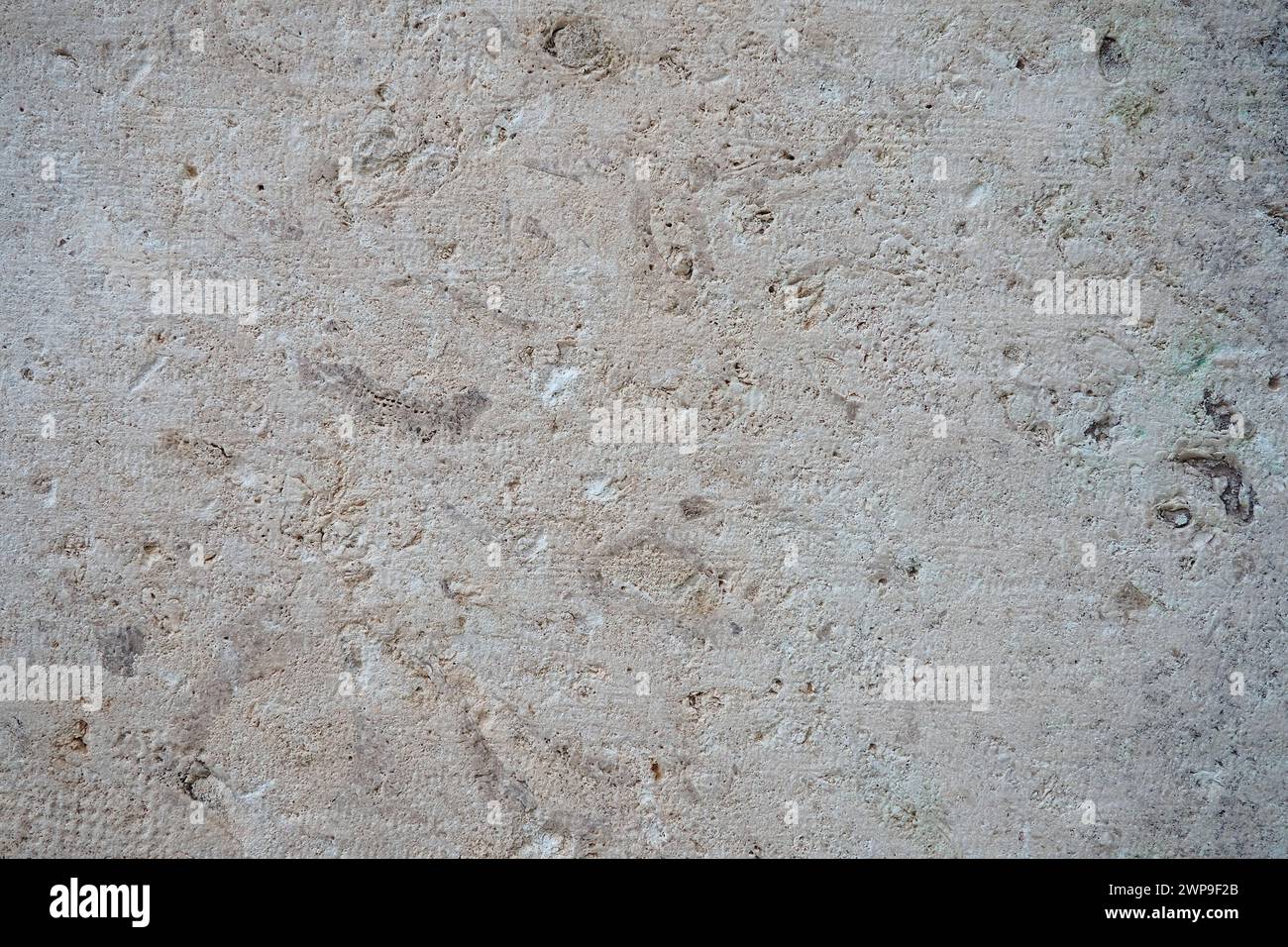 Shell rock is a sedimentary rock. One of the varieties of limestone ...