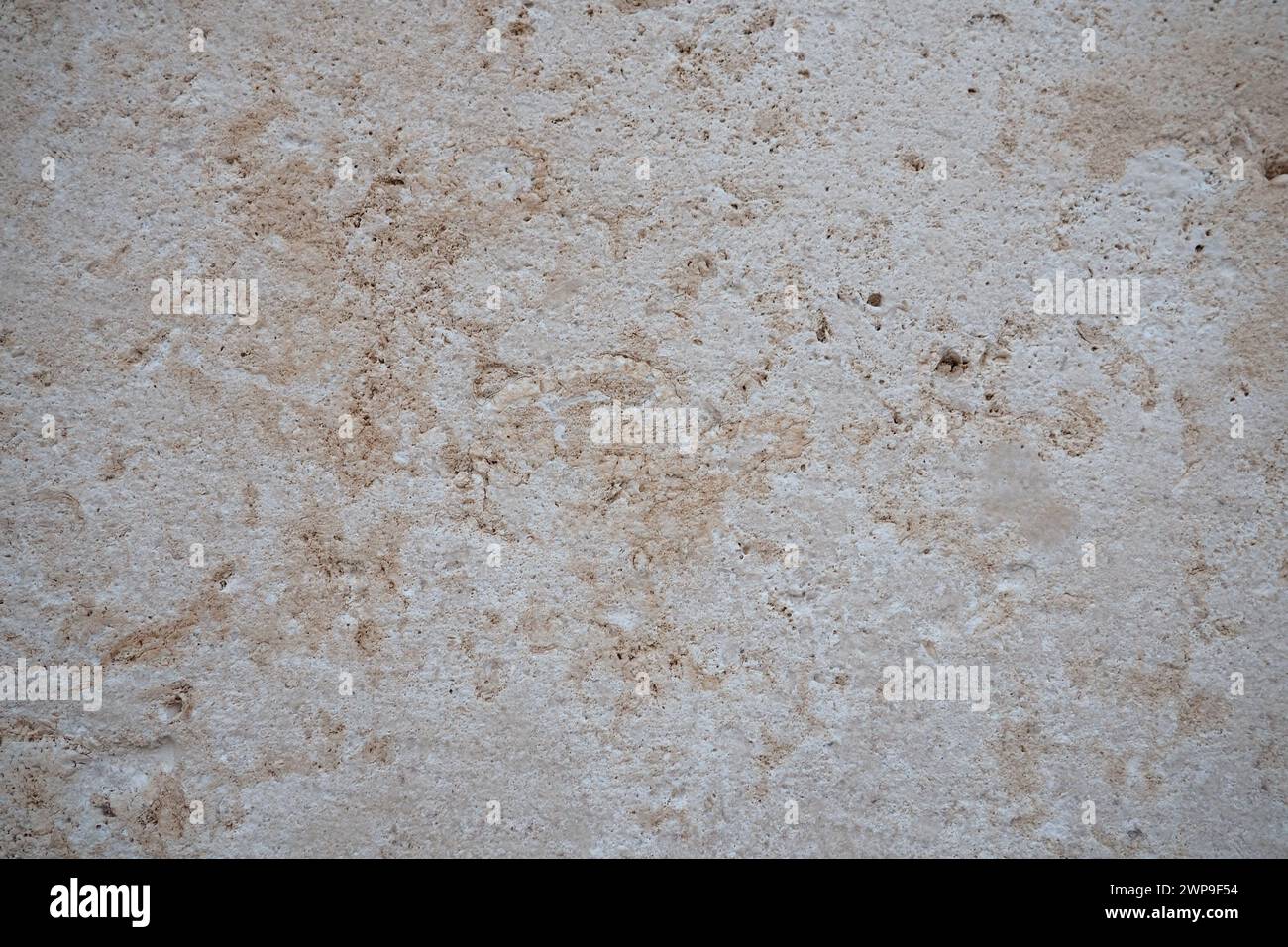 Shell rock is a sedimentary rock. One of the varieties of limestone ...