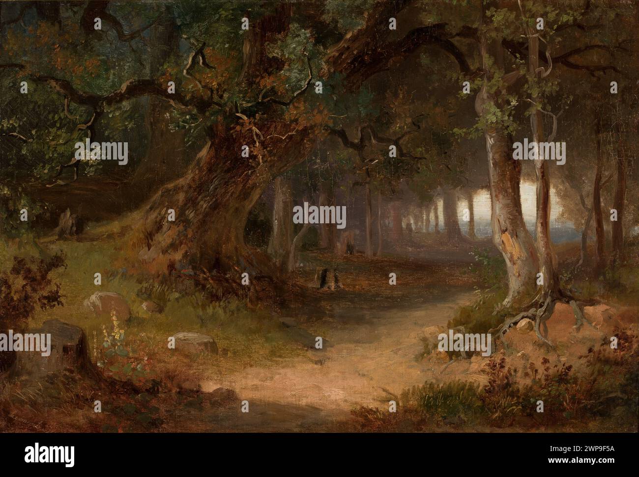 forest roads, deciduous trees, forest landscapes, realism (style ...