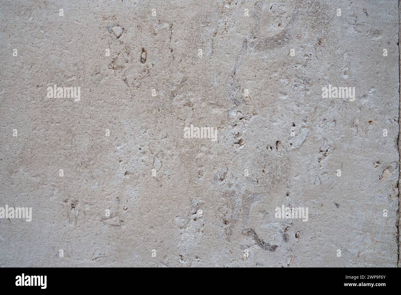 Shell rock is a sedimentary rock. One of the varieties of limestone ...