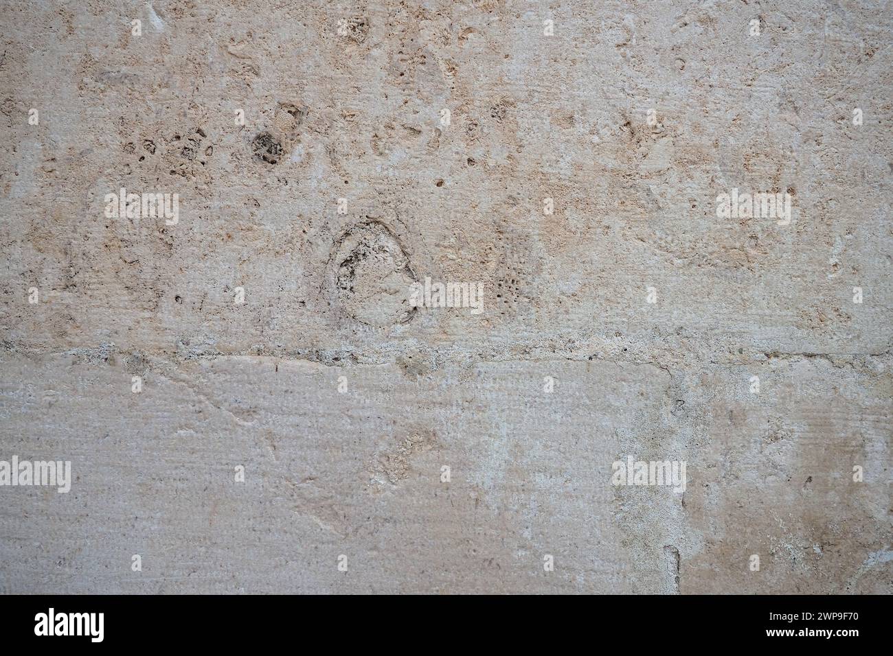 Shell rock is a sedimentary rock. One of the varieties of limestone ...