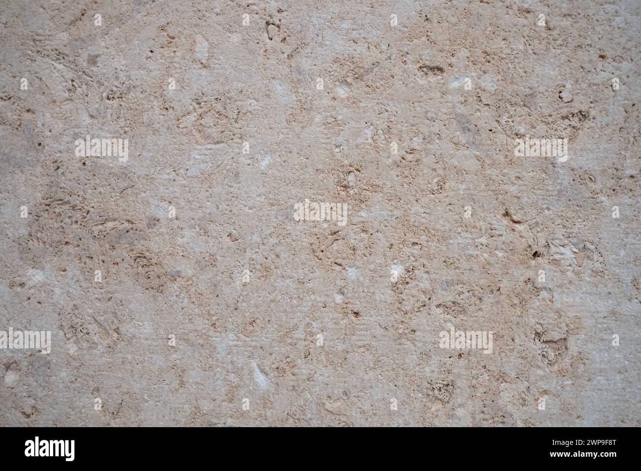 Shell rock is a sedimentary rock. One of the varieties of limestone ...