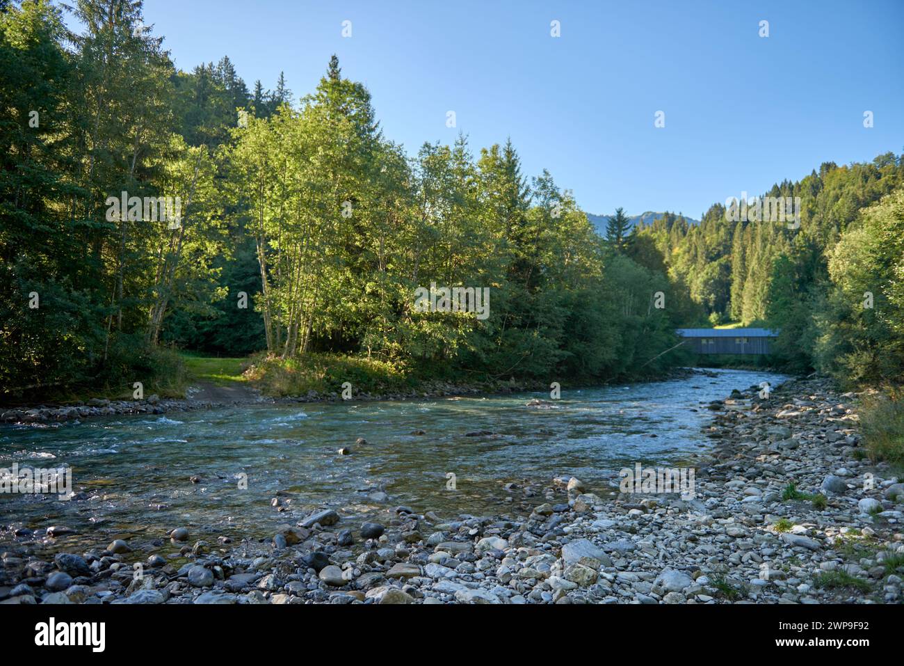 Alpine Oasis: A Mountain River's Journey through Rocky Shores and ...