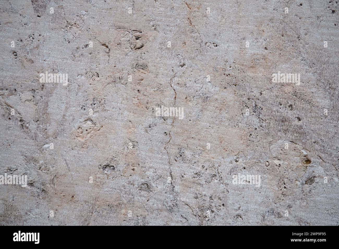 Shell rock is a sedimentary rock. One of the varieties of limestone ...