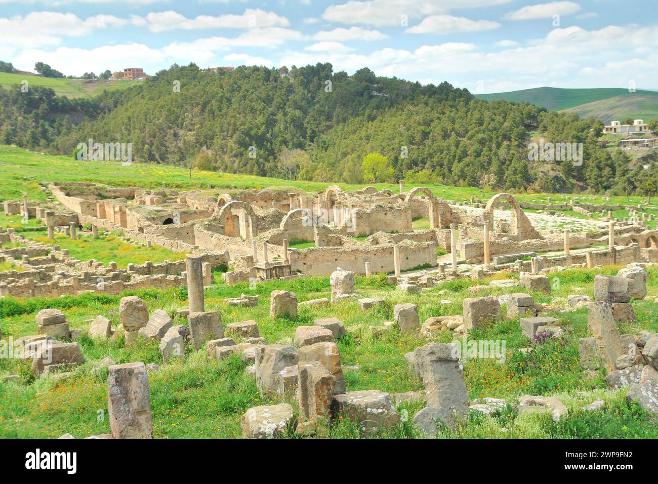 View of the ruins of the Roman city of Cuicul located on the territory ...