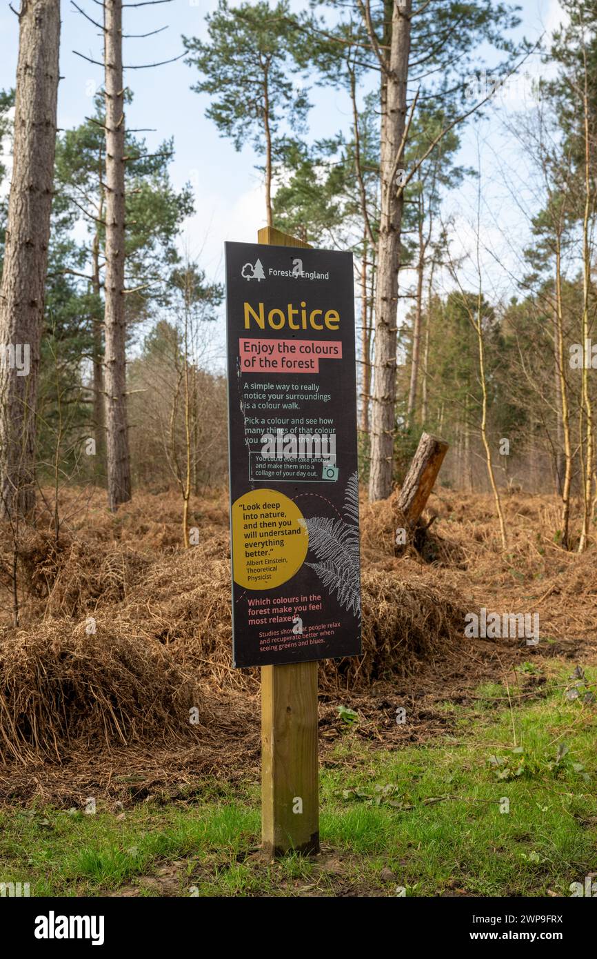 Motivational and guidance signs are placed in a Forestry England ...