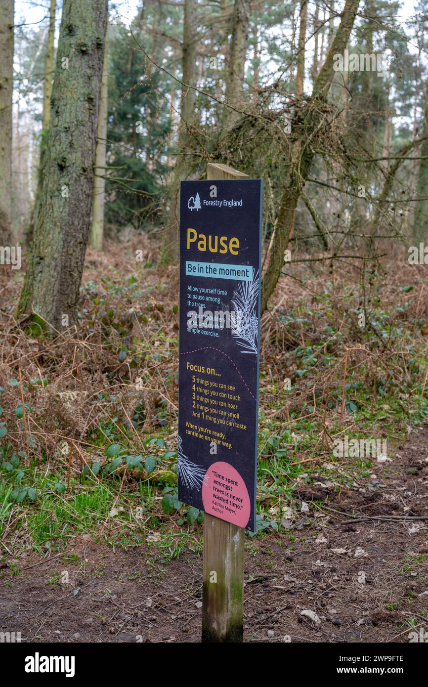Motivational and guidance signs are placed in a Forestry England ...