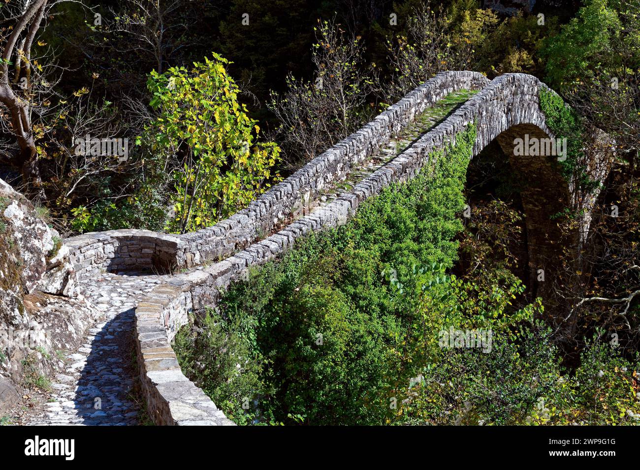 View of a traditional stone bridge at Agrafa mountains near the village ...