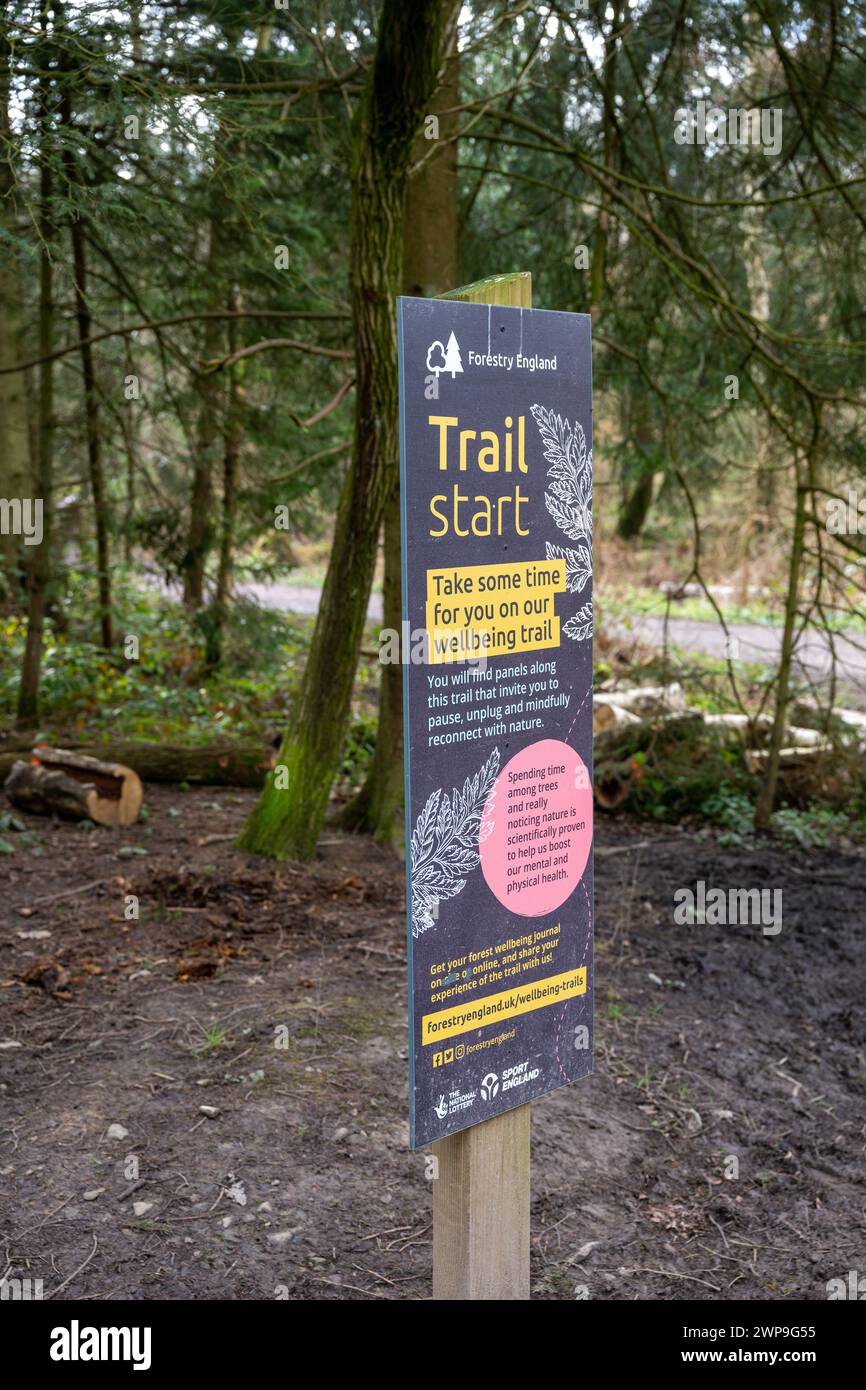 Motivational and guidance signs are placed in a Forestry England ...