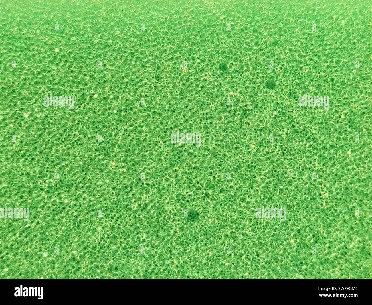 The porous material of the dishwashing sponge. Foam rubber of green ...