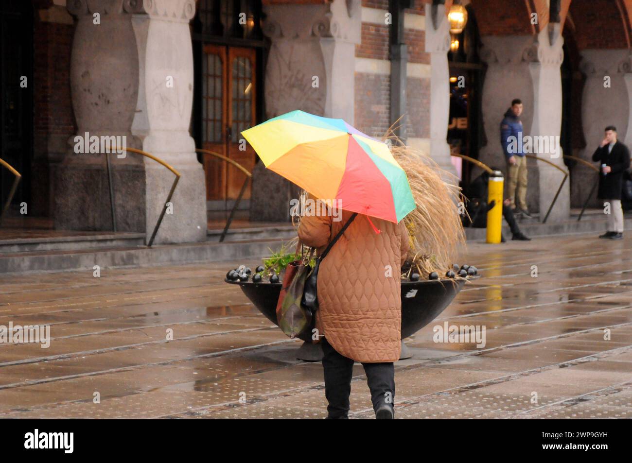 Copenhgen/ Denmark /06 March 2024/Danish weather rain fall on trees and ...