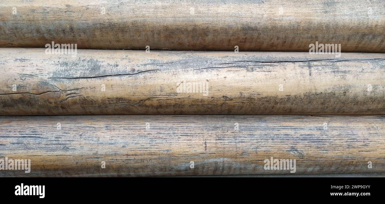 Rounded structure of a tree hi-res stock photography and images - Alamy