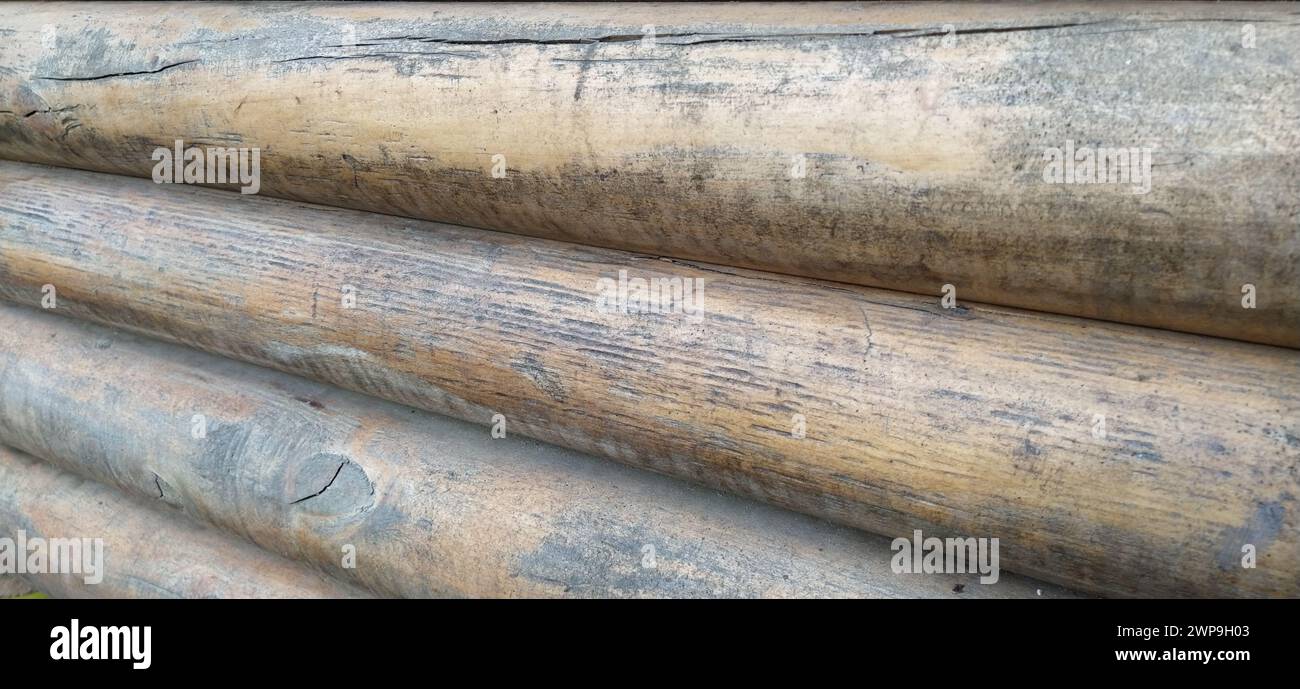 Rounded structure of a tree hi-res stock photography and images - Alamy