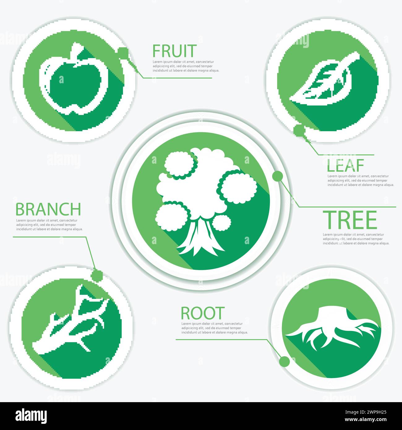 Tree Chart Go Green Flat Design, Vector Illustration Stock Vector Image ...