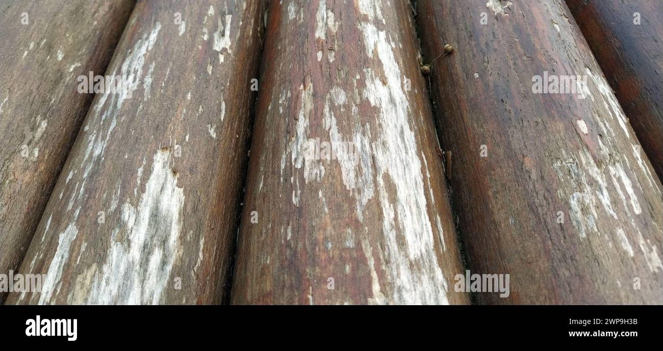 Rounded structure of a tree hi-res stock photography and images - Alamy