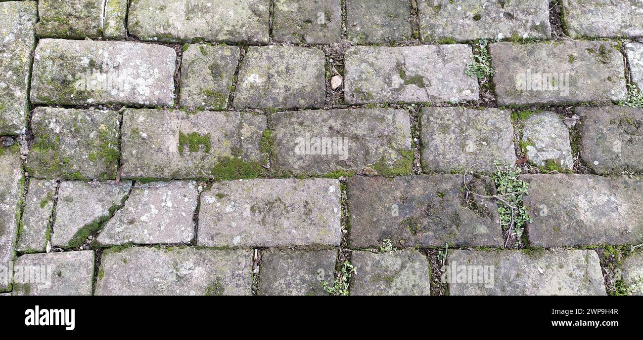 Old paving stones. Gray rectangular stones laid like tiles. Damp ...