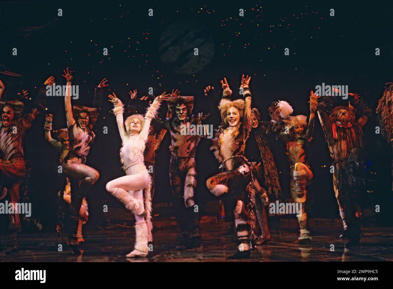 Cats musical hi-res stock photography and images - Alamy