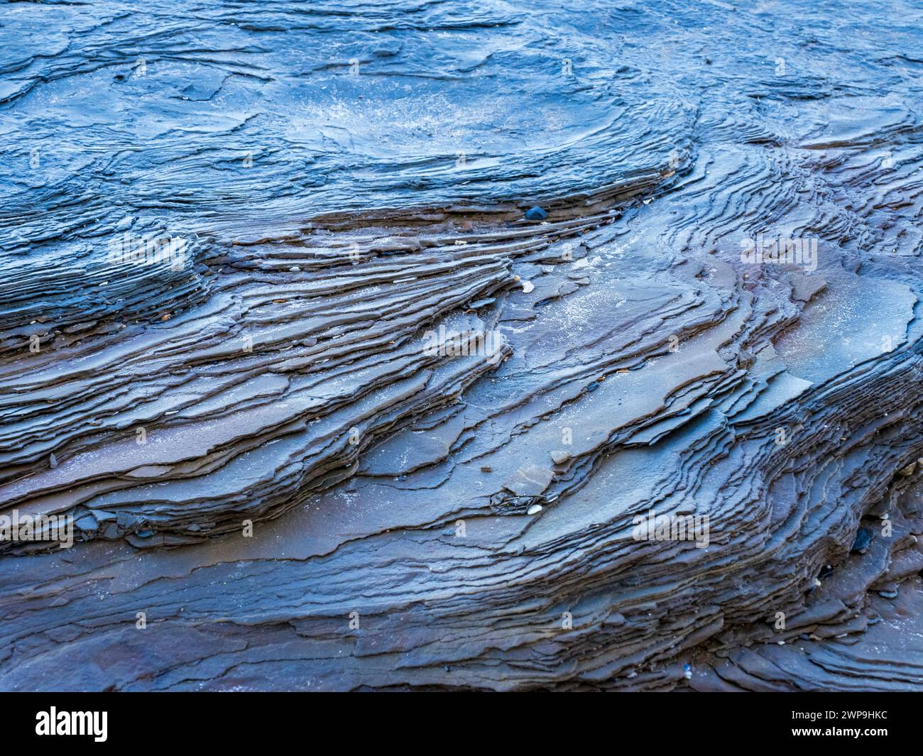 Bedding planes in slate rock in Seahouses in Northumberland, UK Stock ...