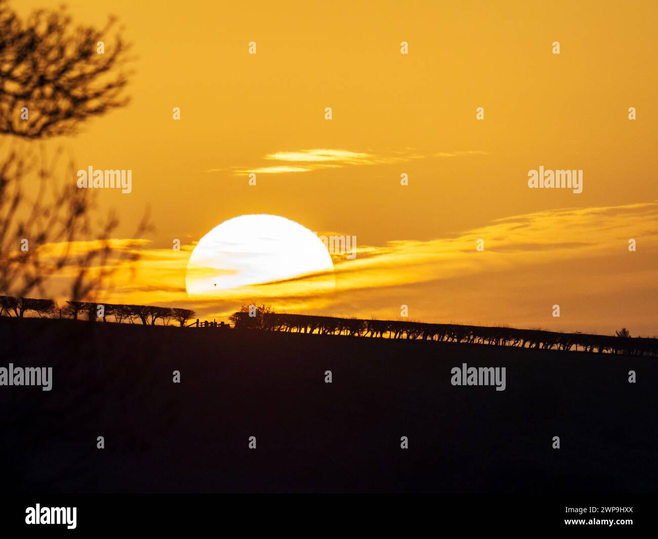 Gull flying past rising sun hi-res stock photography and images - Alamy