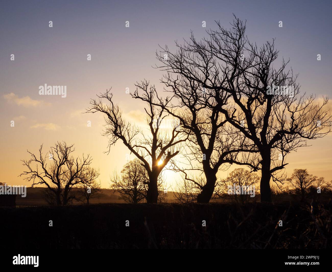 Rising sun dawn in lucker hi-res stock photography and images - Alamy