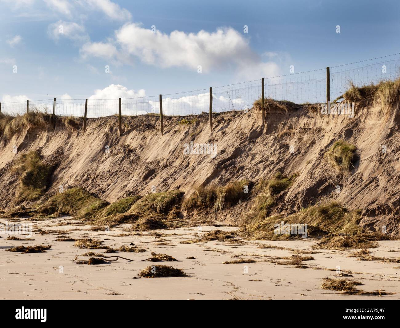 Sand dunes eroded by storm surge waves on the beach at Low Newton ...