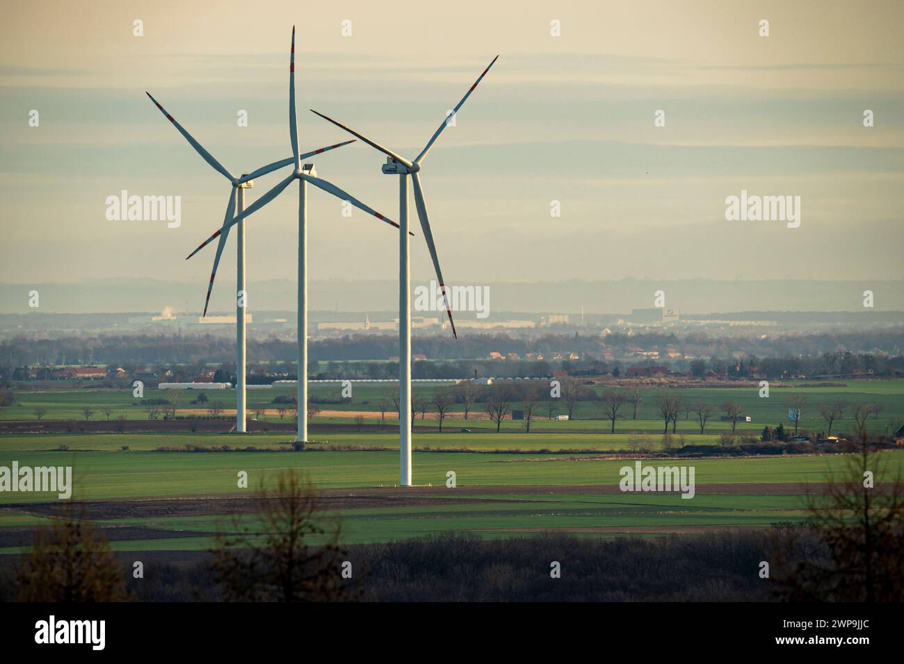 Renewable energy sources, green energy, fields with wind farms Stock ...